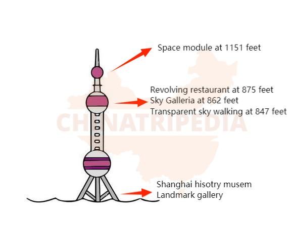Oriental Pearl Tower - Tickets, Highlights, and Tips - chinatripedia