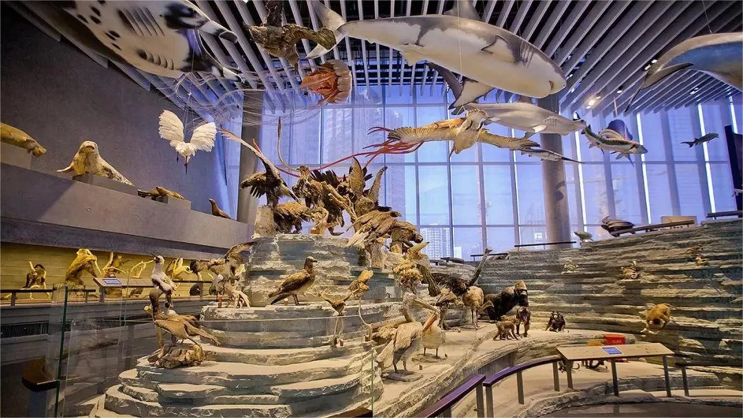7 facts about Shanghai Natural History Museum – chinatripedia
