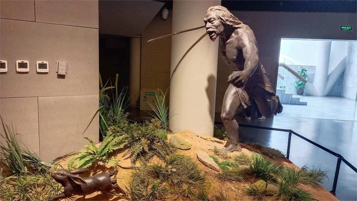 What does the Peking Man reveal – chinatripedia