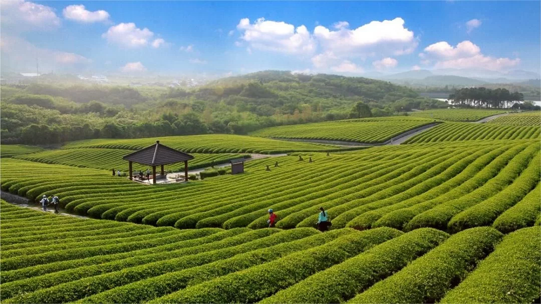 Longchi Mountain, Yixing - Ticket Price, Opening Hours, Location, and ...