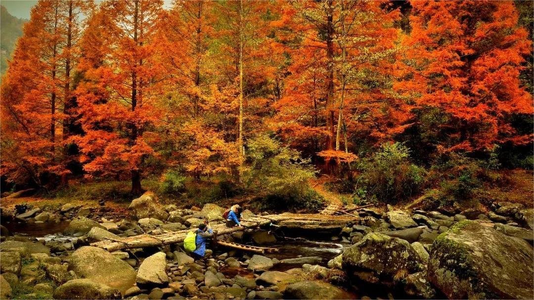 Changshou Lake Scenic Area, Chongqing – Ticket, Opening Hours, Location ...