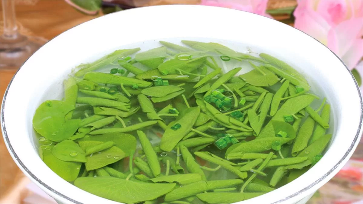 Taihu Water Shield - A Special Vegetable in Suzhou - chinatripedia