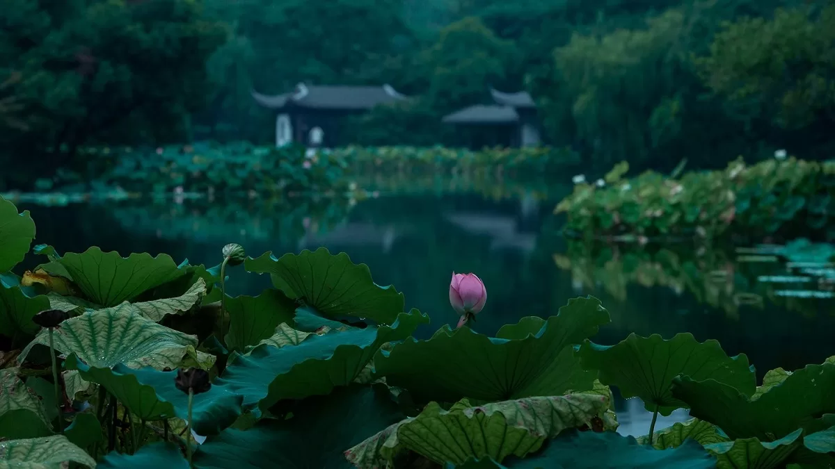 Quyuan Fenghe Park, Hangzhou - Ticket, Opening Hours, Location, and ...